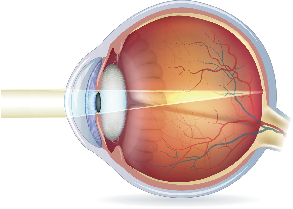 How Does Vision Actually Work ICON Eyecare Grand Junction